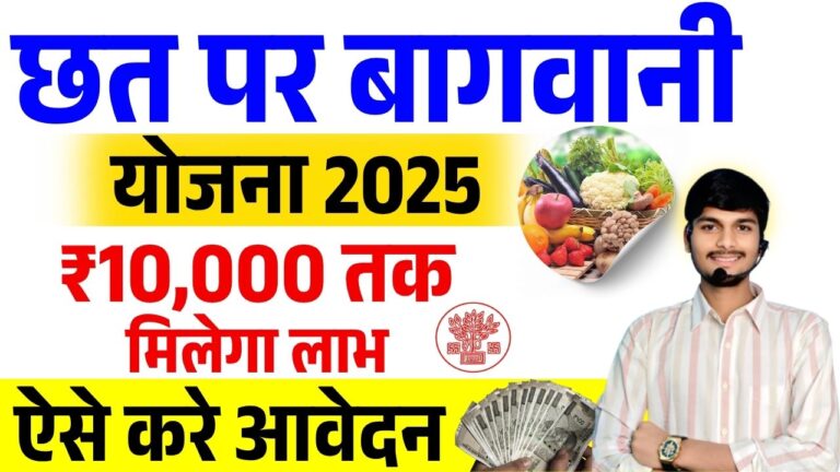 Bihar Chhat Par Bagwani Yojana 2025: छत पर बागवानी योजना 2025 ₹10,000 ...